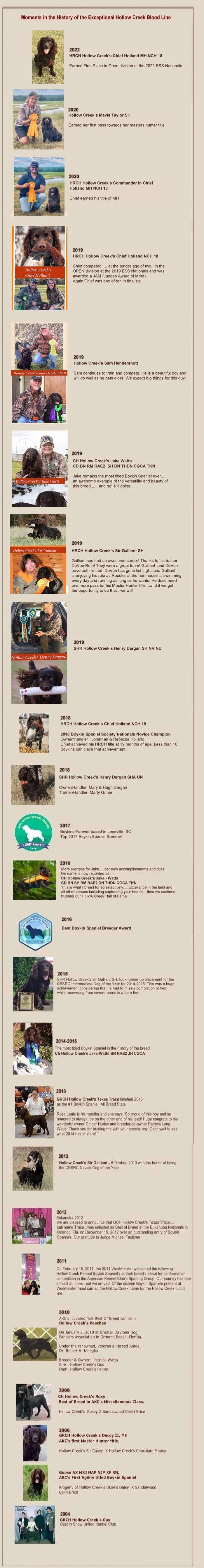 The South Carolina State Dog the Boykin Spaniel. Boykins Forever Hollow ...